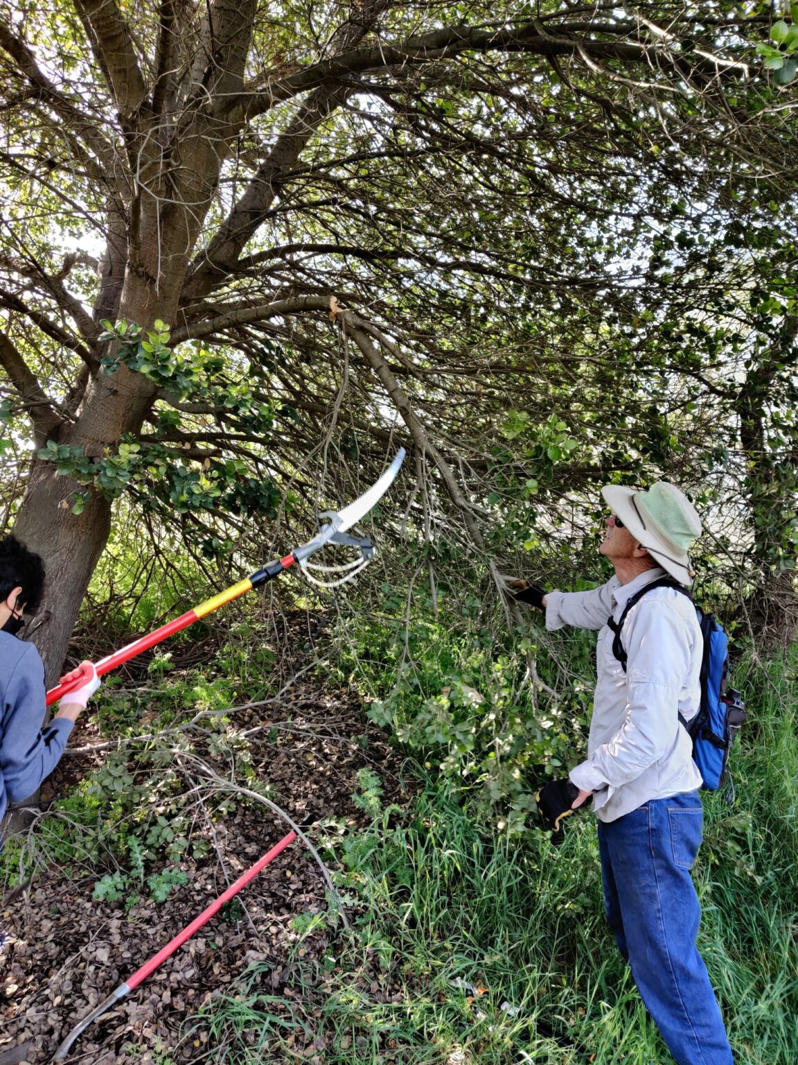 Trail Maintenance - American River Parkway Foundation