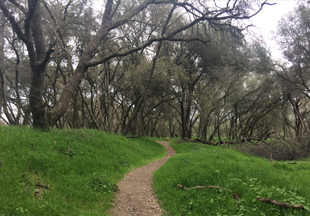 Visit - American River Parkway Foundation