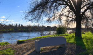 Visit - American River Parkway Foundation