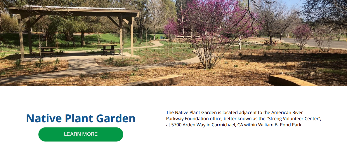 Native Plant Garden | American River Parkway Foundation